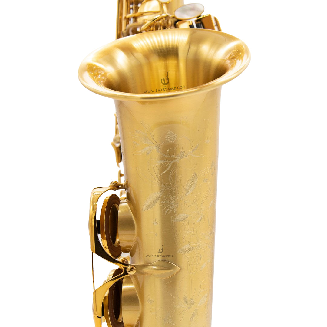 Selmer Paris Supreme 92M Brushed Matte Lacquer Alto Saxophone READY TO ...